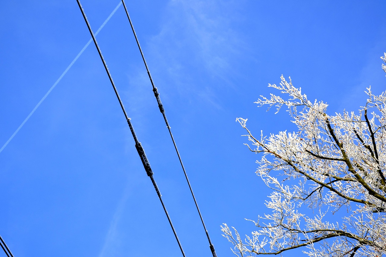 Catenary Meaning