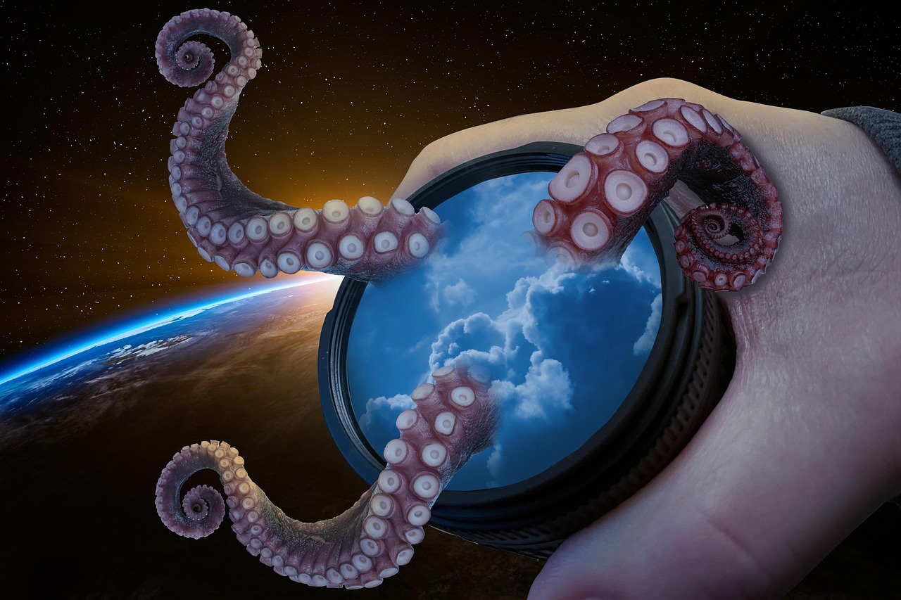 300+ Free Octopus & Nature Photos - Pixabay
