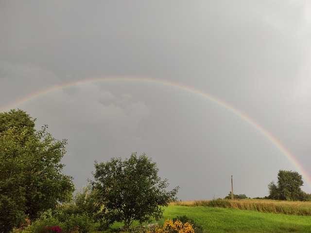 Summer Été Et Arc-En-Ciel Rainbow - Photo gratuite sur Pixabay - Pixabay