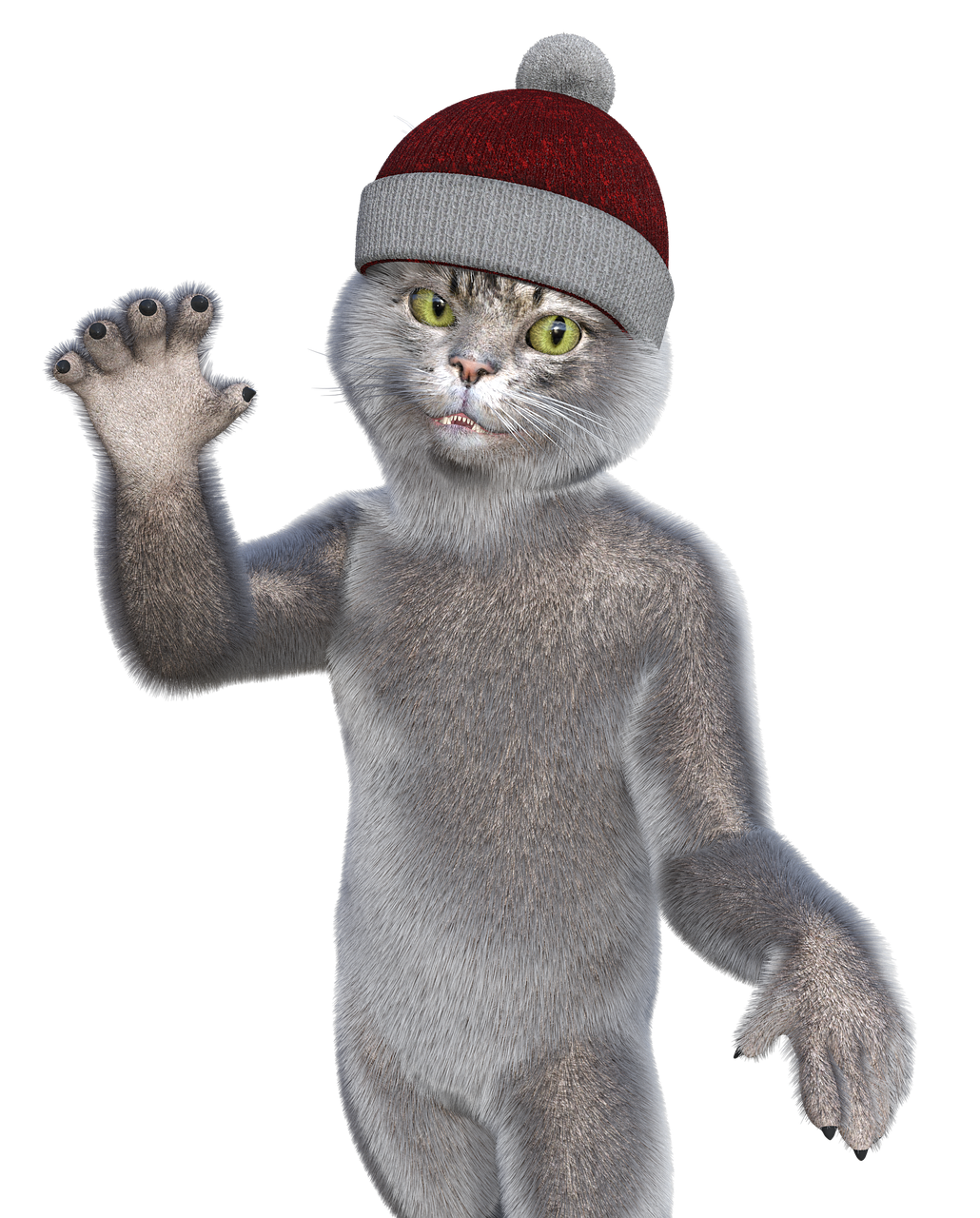 20,000+ Free Cat Transparent & Cat Images - Pixabay