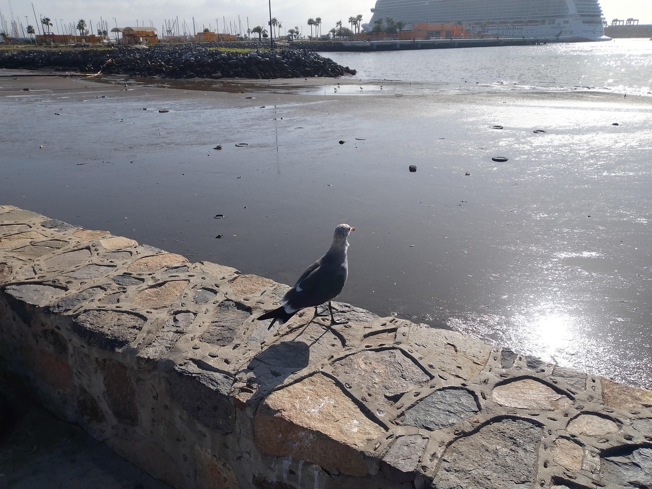 Shore Ensenada Dock - Free photo on Pixabay - Pixabay