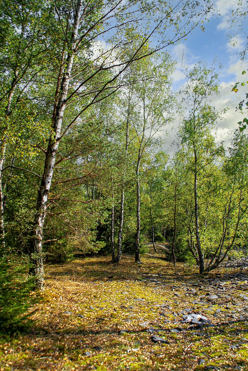 Schmiedebach Lehsten Locality - Free photo on Pixabay - Pixabay