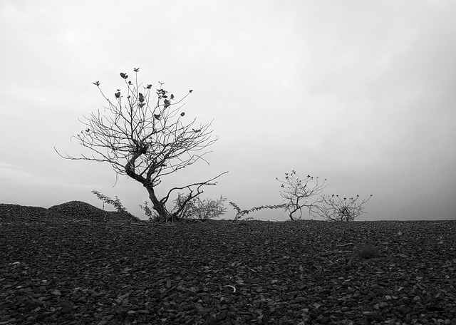 Bnw Blackandwhite Perspective - Free photo on Pixabay - Pixabay