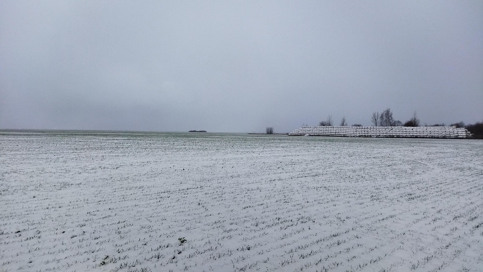 Snow Field Assessed Winter - Бесплатное фото на Pixabay - Pixabay