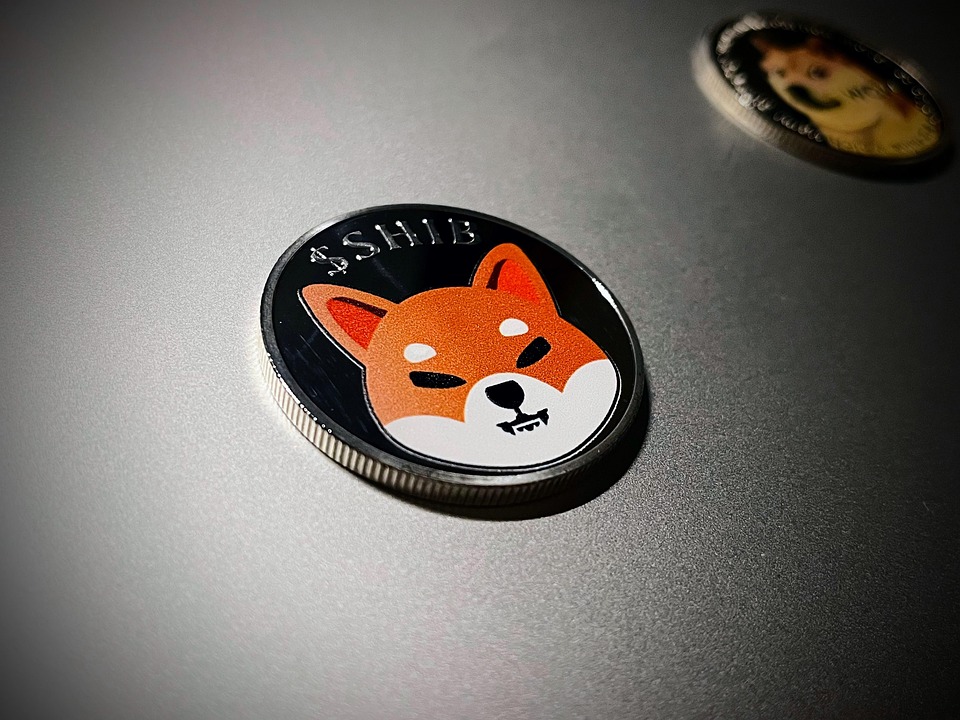 Shiba Inu Doge Dogecoin Shib - Photo gratuite sur Pixabay - Pixabay