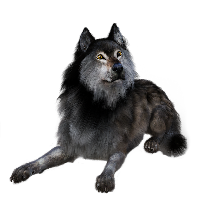 Canidae