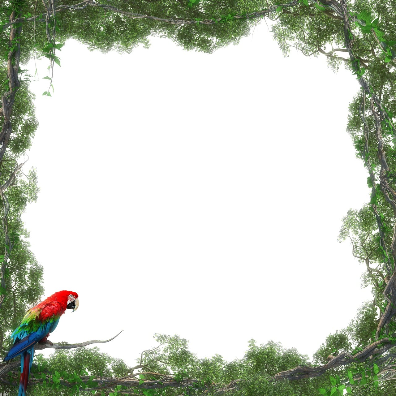 Download Parrot, Leaves, Frame. Royalty-Free Stock Illustration Image ...