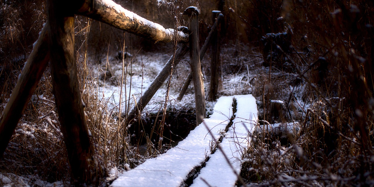 Fluss Wald Winter - Kostenloses Foto auf Pixabay - Pixabay