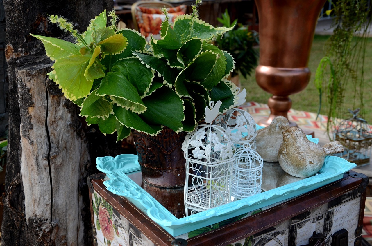 Decorative Decoration Nature - Free photo on Pixabay - Pixabay