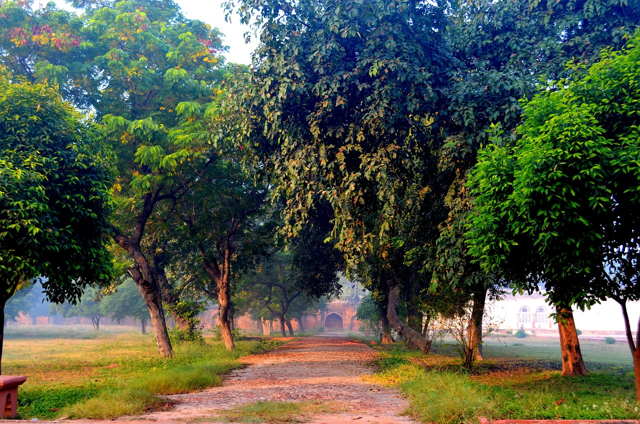 Nature Trees Rural - Free photo on Pixabay