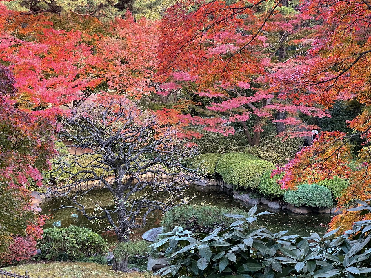 Nature Tokyo Landscape - Free photo on Pixabay - Pixabay