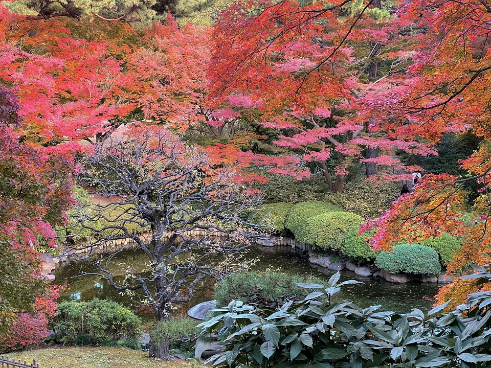 Nature Tokyo Landscape - Free photo on Pixabay - Pixabay