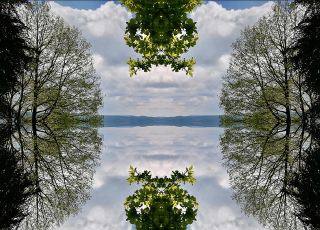 Reflectie Natuur Bomen - Gratis afbeelding op Pixabay