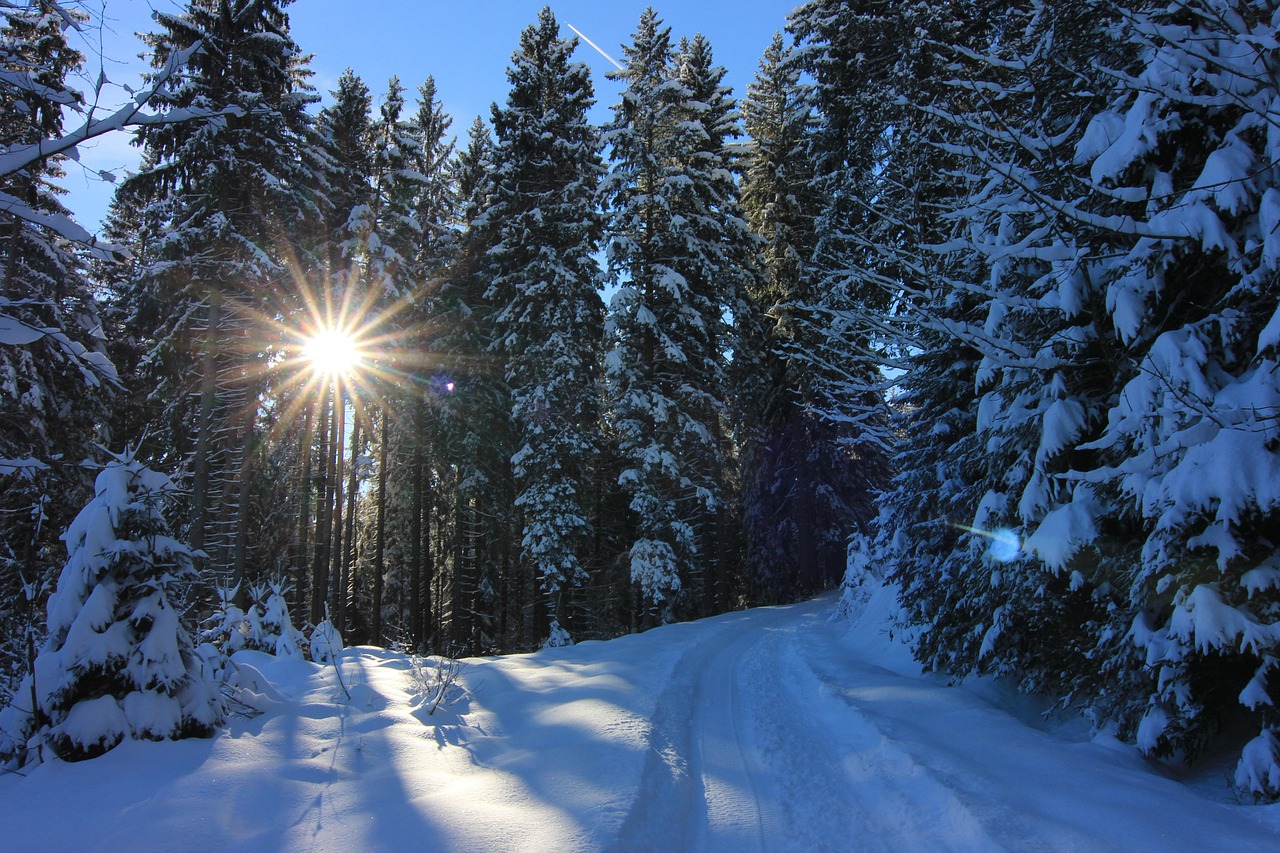 Berge Wald Schnee Backcountry-Ski - Kostenloses Foto auf Pixabay - Pixabay