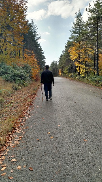 A Man On The Road Autumn - Free photo on Pixabay - Pixabay