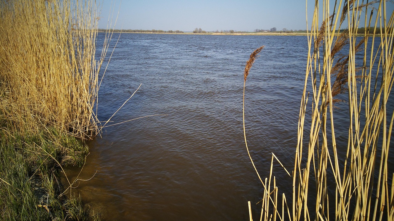 Wasser Weichsel Fluss - Kostenloses Foto auf Pixabay - Pixabay