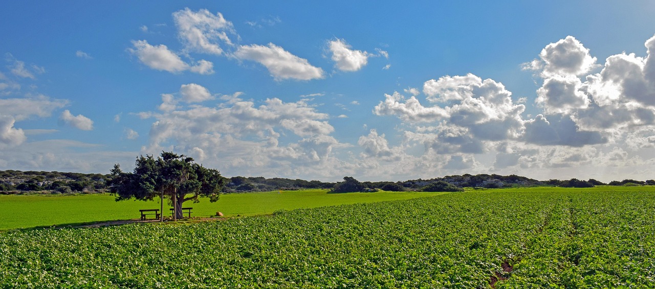 Field Plantation Agriculture - Free photo on Pixabay