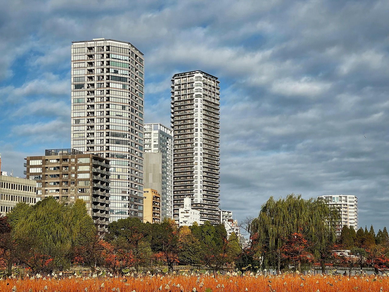 Shinobazu Pond Ueno Park Autumn - Free photo on Pixabay - Pixabay
