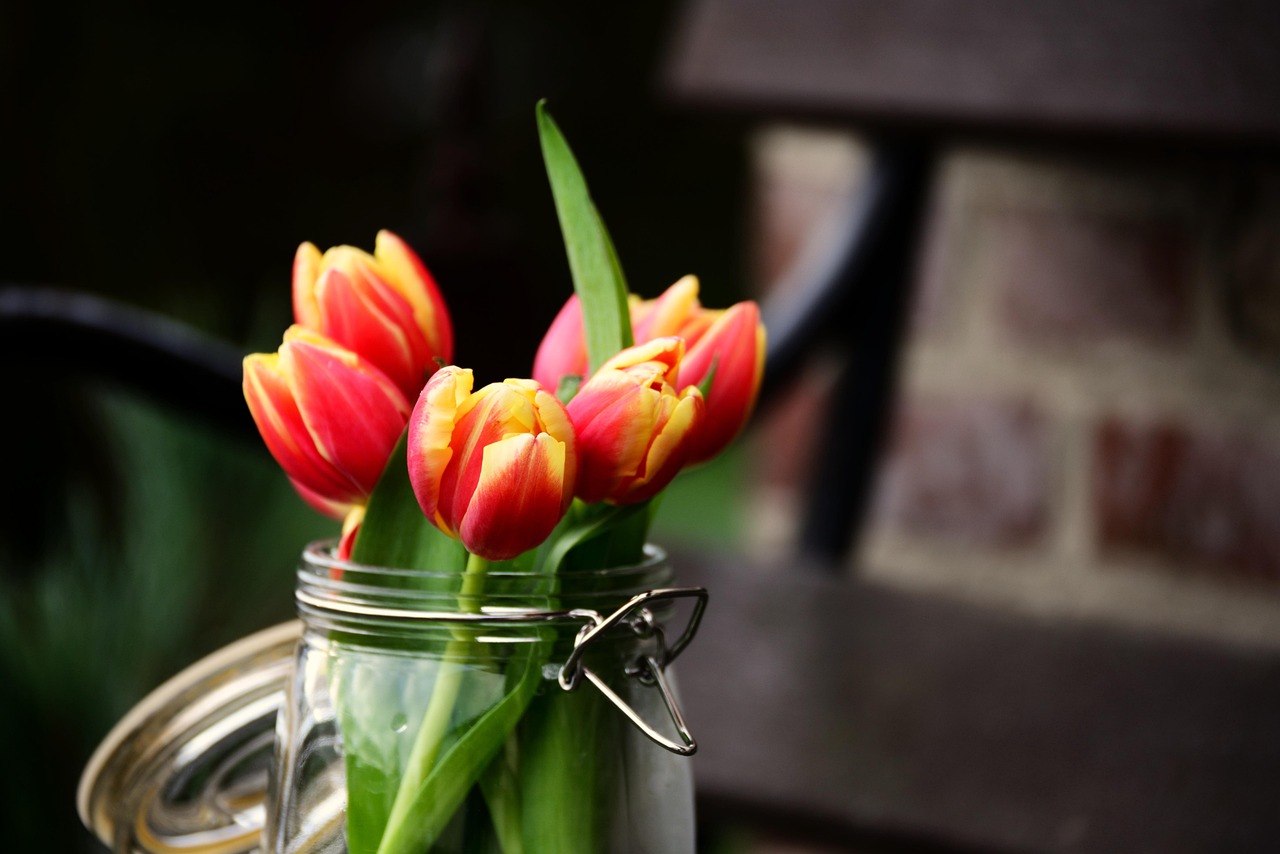 Tulpaner Blommor Blomma Vase - Gratis foto på Pixabay - Pixabay
