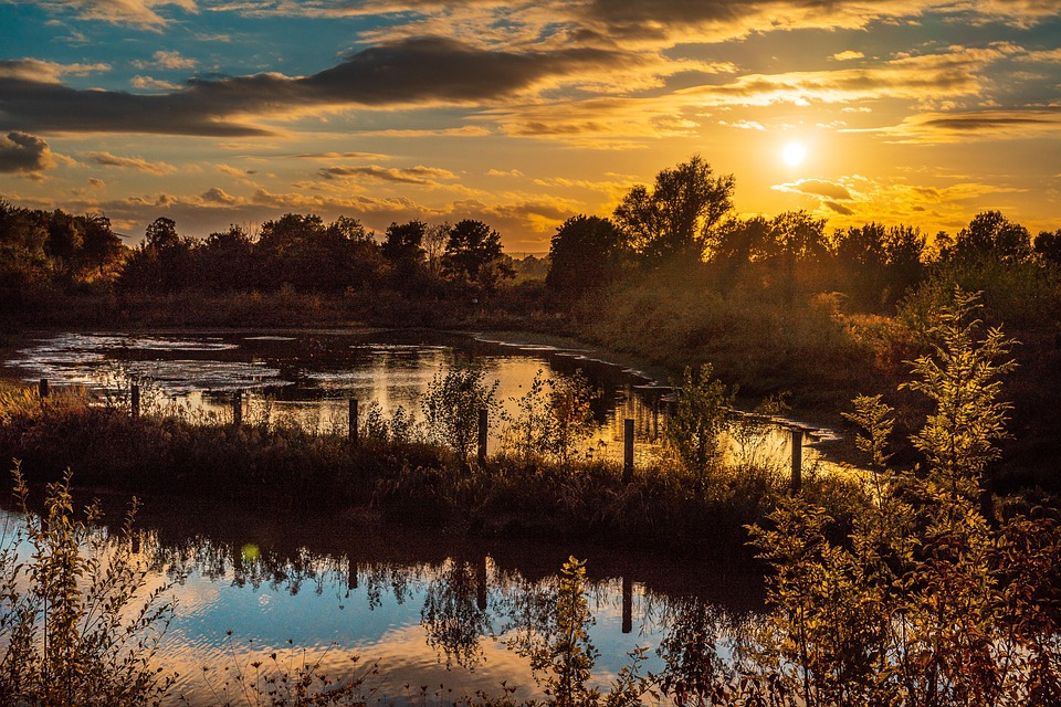 Nature En Plein Air Région Sauvage - Photo gratuite sur Pixabay - Pixabay