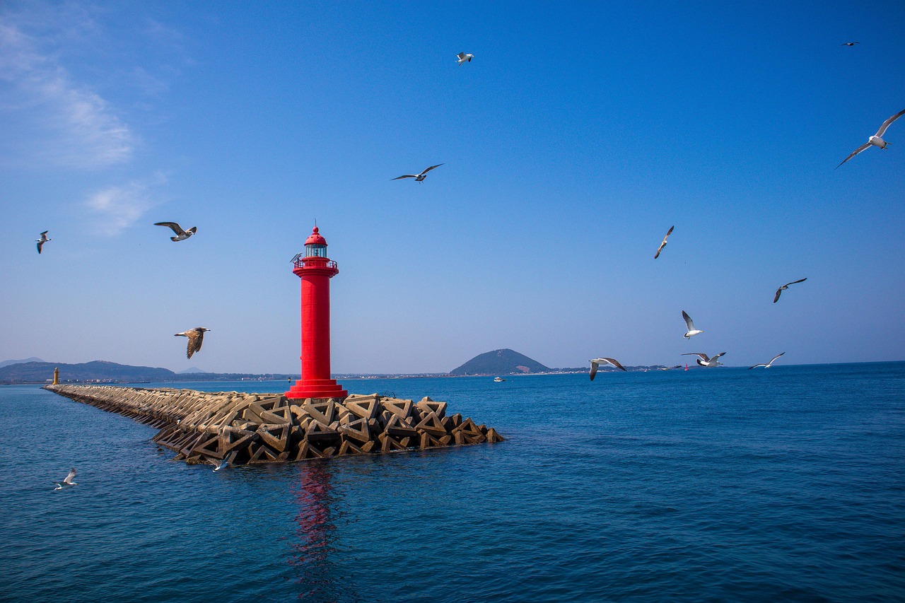 1,000 + 무료 제주도 & 자연 이미지 - Pixabay
