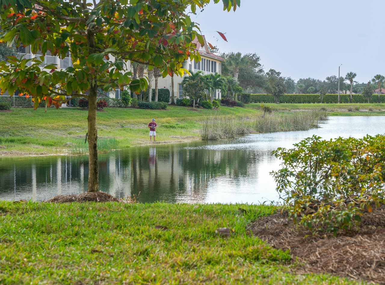 40,000+ Free Florida Landscape & Florida Images - Pixabay