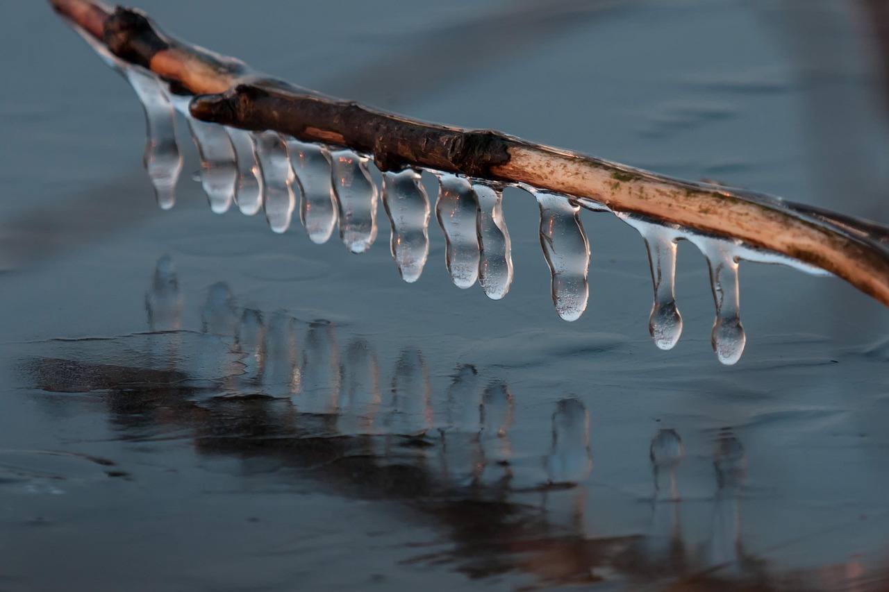 Winter Icicles Nature - Free photo on Pixabay