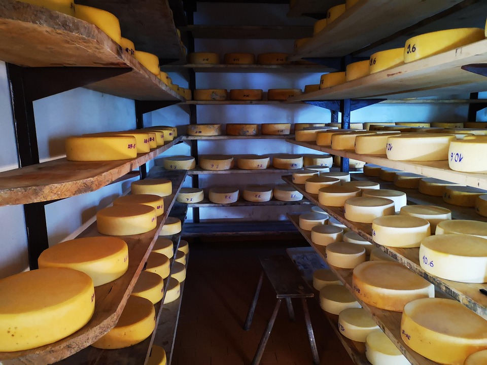 Tolminc Cheese Soča Valley - Free photo on Pixabay - Pixabay