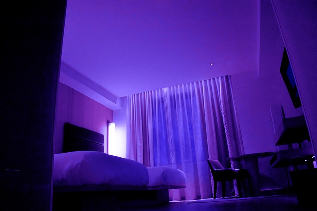 Hotel Room Marriot Evening Indigo - Free photo on Pixabay