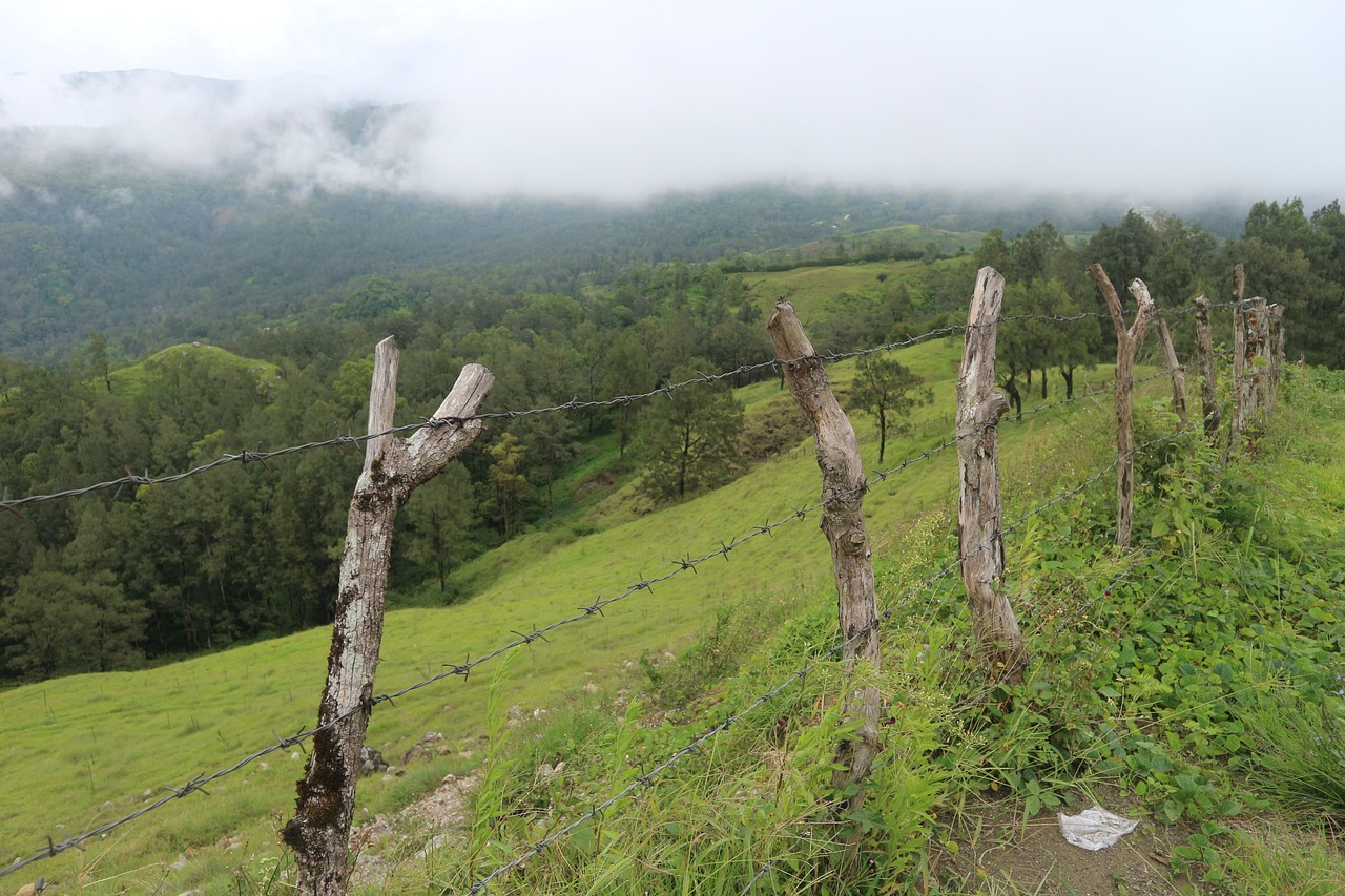 Natural Montañas Panorama - Foto gratis en Pixabay - Pixabay