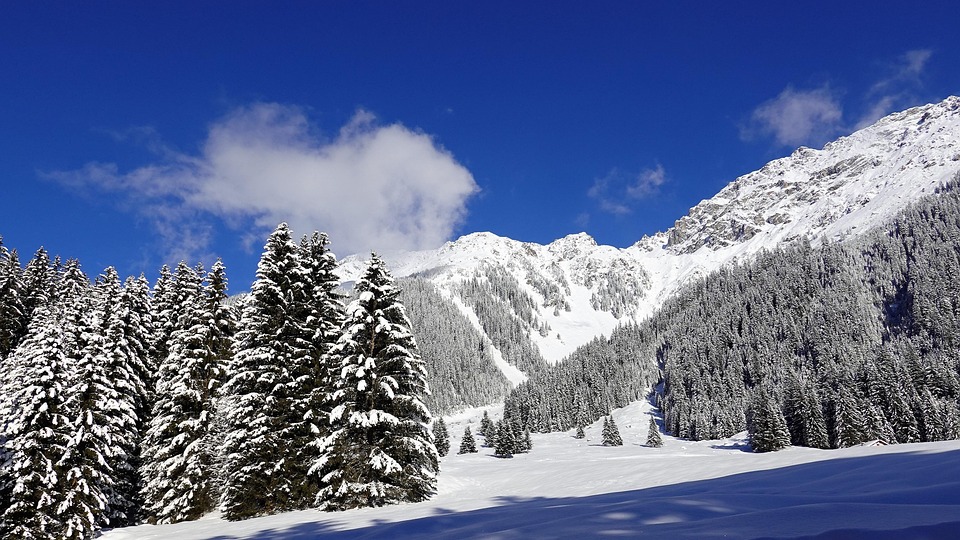 Berge Winter Wald - Kostenloses Foto auf Pixabay