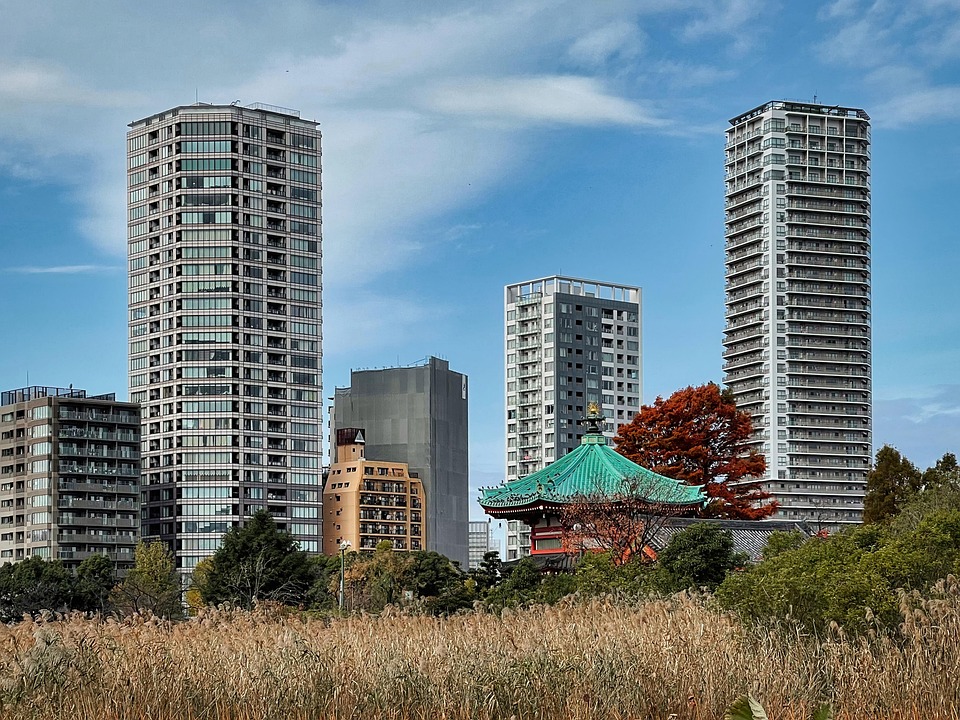 Shinobazu Pond Japan City Ueno - Free photo on Pixabay - Pixabay