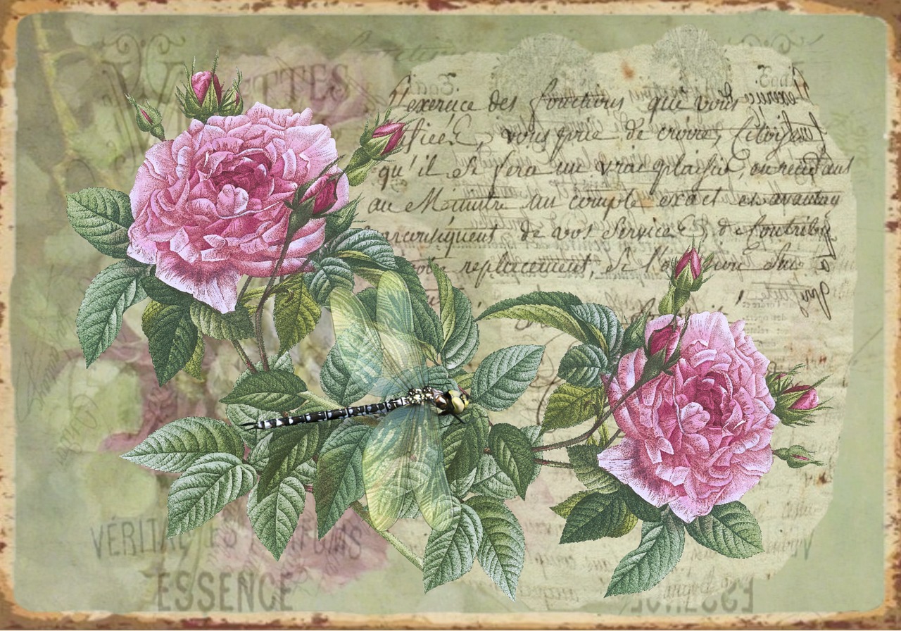 Vintage Rosa Foto Gratuita No Pixabay Pixabay
