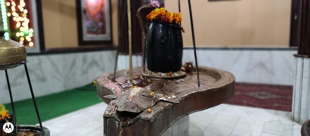 Lord Shiva Mahadev Shankar - Free photo on Pixabay - Pixabay