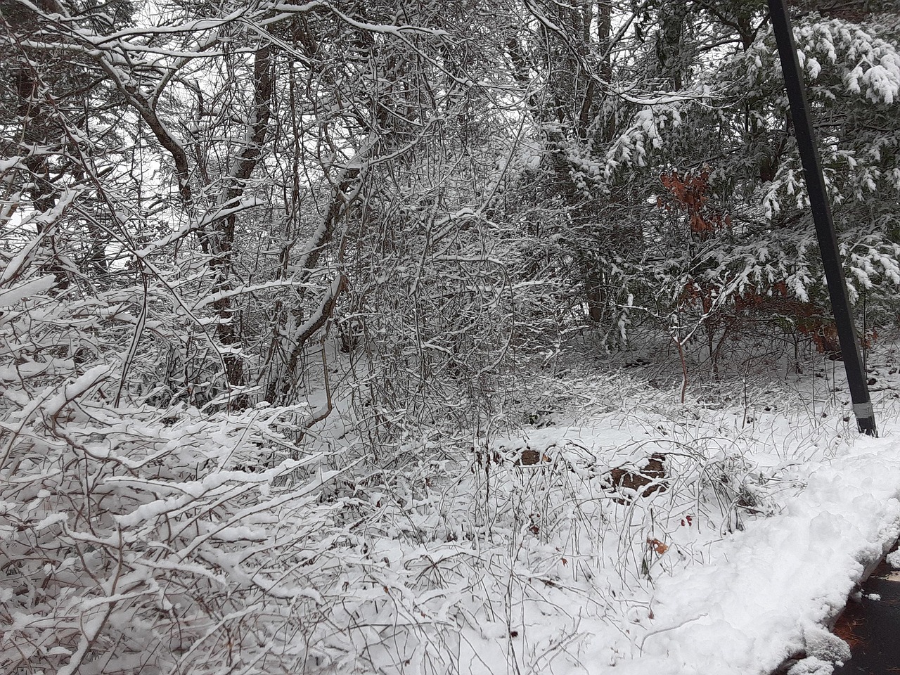 Dead Of Winter Cold Freezing - Free photo on Pixabay - Pixabay