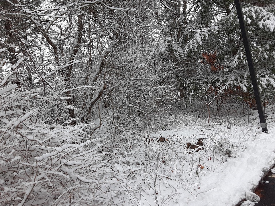 Dead Of Winter Cold Freezing - Free photo on Pixabay - Pixabay