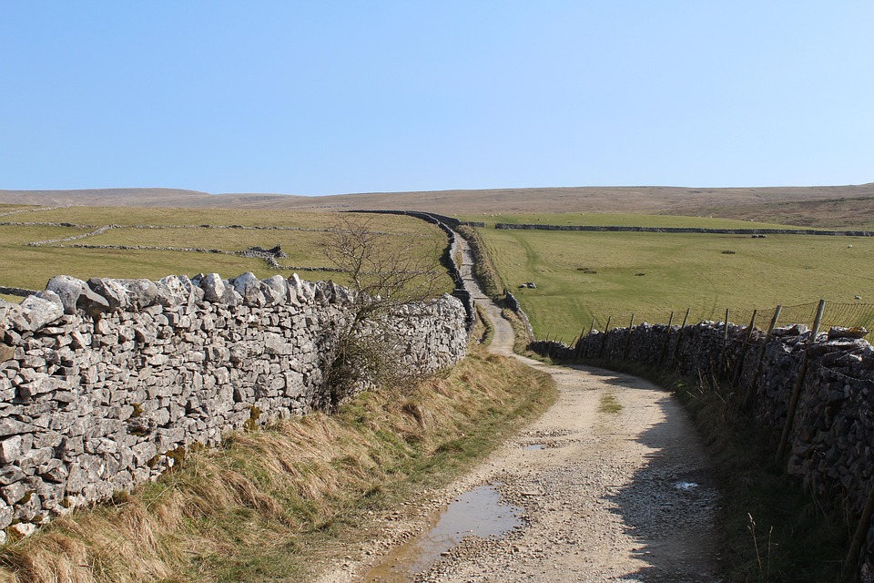 Path Wall Field - Free photo on Pixabay - Pixabay