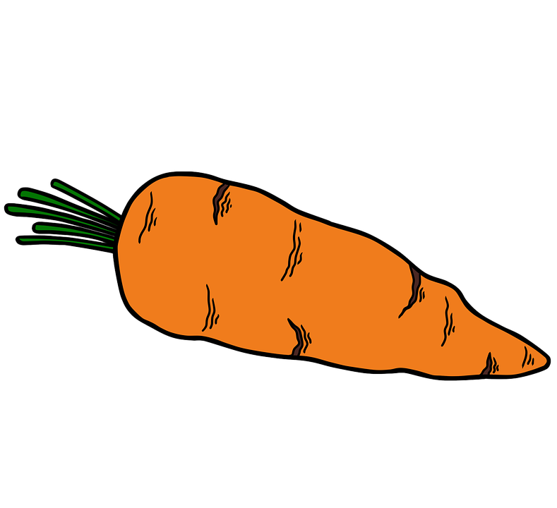 Download Carrot, Cabbage, Vegetable. Royalty-Free Stock Illustration ...