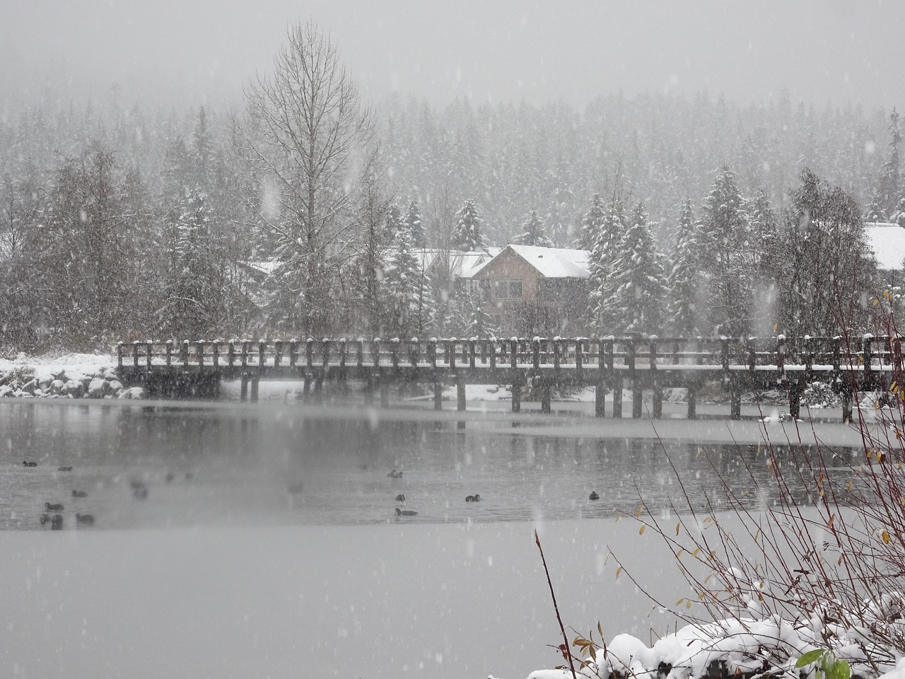 Snowfall Winter River - Free photo on Pixabay - Pixabay