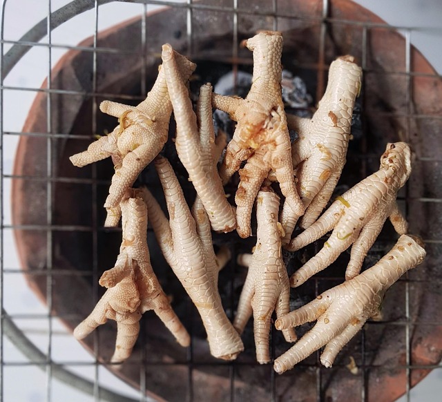 Chicken Foot Illustration