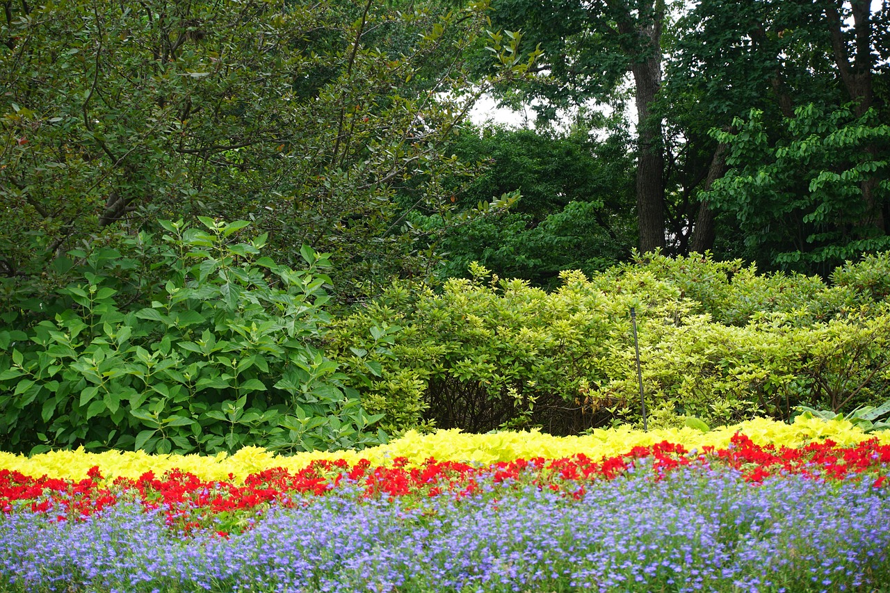 Natureza Jardim - Foto gratuita no Pixabay - Pixabay