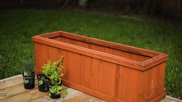 Penanaman Tembikar Berkebun - Foto gratis di Pixabay - Pixabay