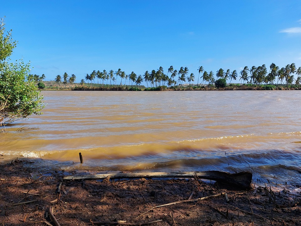 Goobweyn Naturaleza Río - Foto gratis en Pixabay - Pixabay