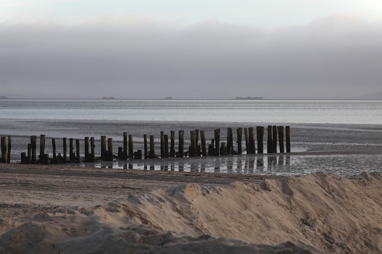 Mer Des Wadden Allemagne Plage - Photo gratuite sur Pixabay - Pixabay
