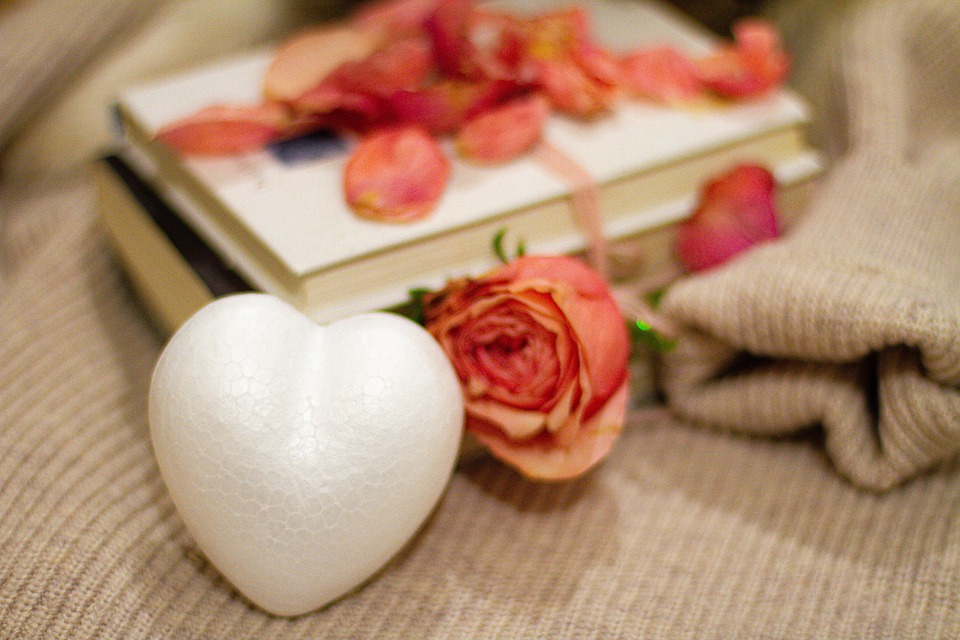 Love Valentine'S Day Rose - Free photo on Pixabay - Pixabay