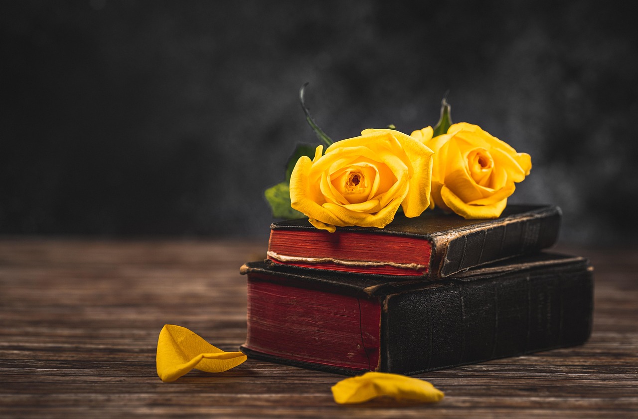 200+ Free Study Wallpaper & Study Images - Pixabay