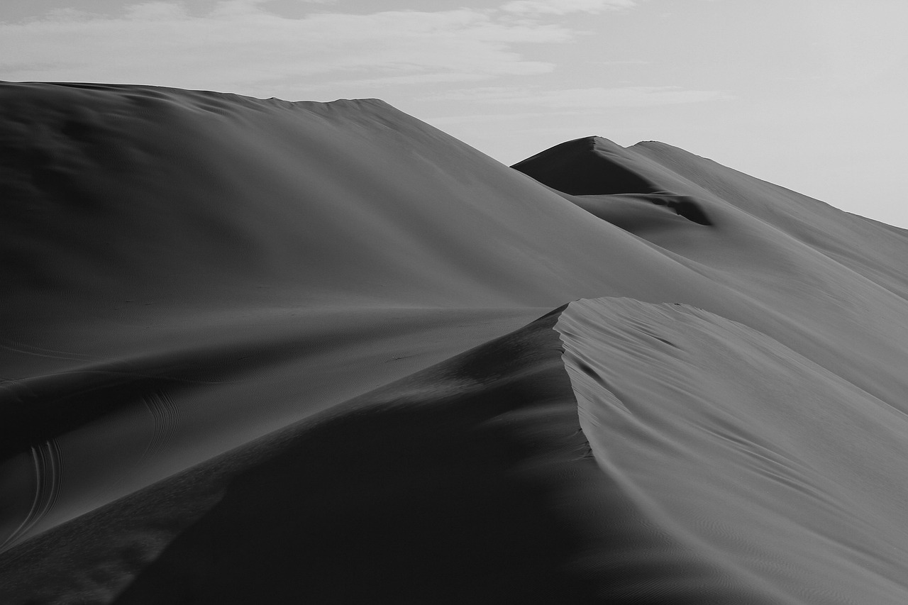 Desert Travel Monochrome - Free photo on Pixabay - Pixabay