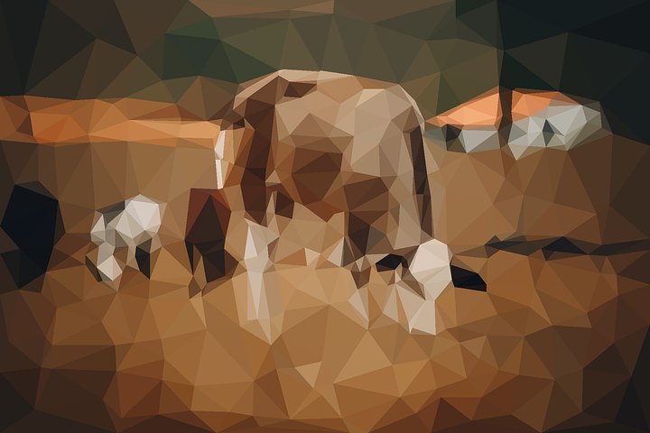 40+ Free Cow Art & Cow Vectors - Pixabay