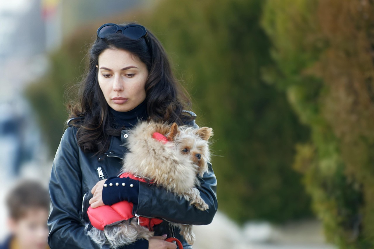 Woman Dog Pet - Free photo on Pixabay