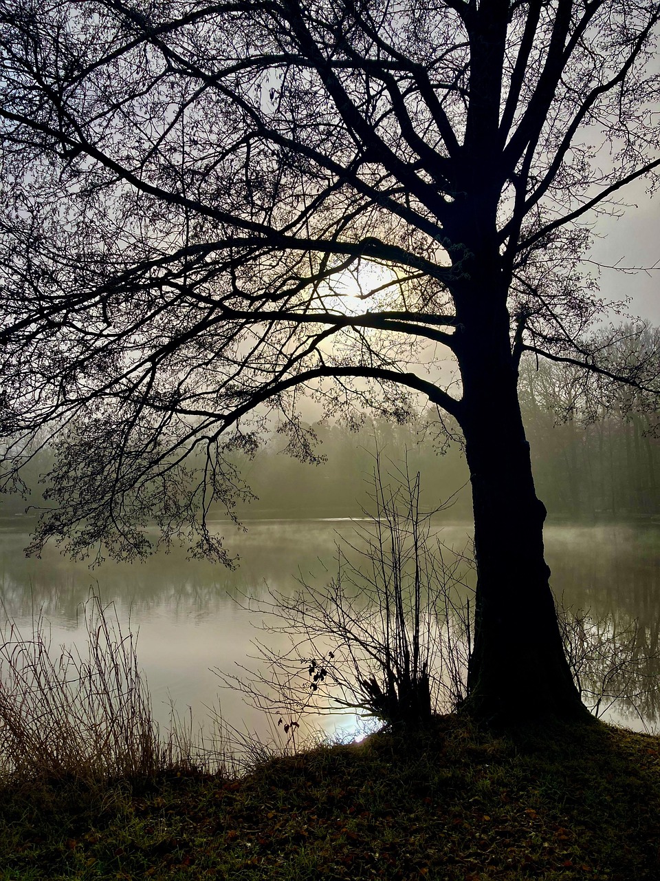 Licht Schatten See - Kostenloses Foto auf Pixabay - Pixabay